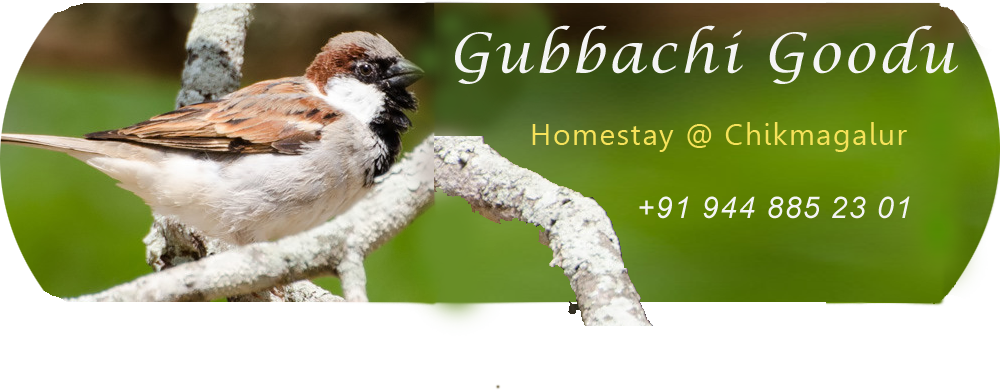 Gubbachi Goodu - homestay in chikmagalur, accommodation in chikmagalur ...